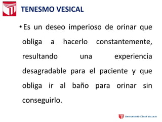 alteraciones y cuidaos del sistema renal | PPT | Descarga Gratuita