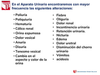 alteraciones y cuidaos del sistema renal | PPTX