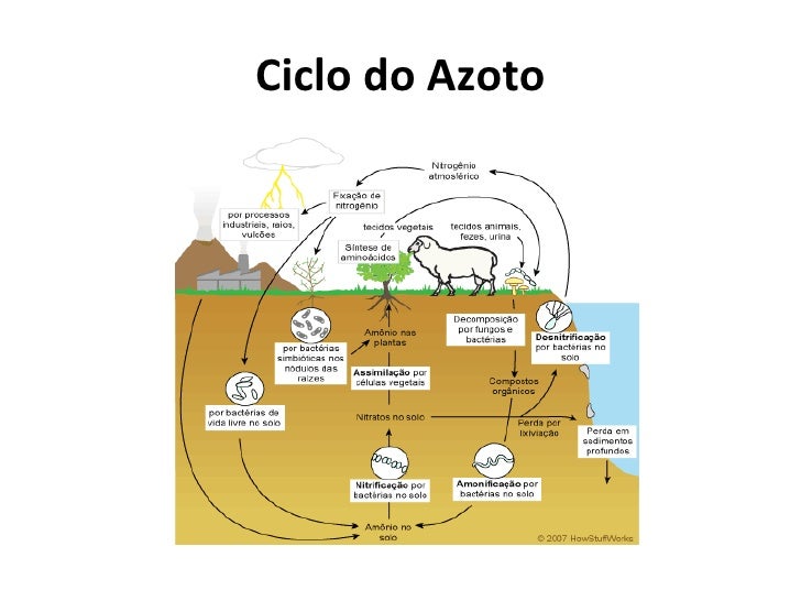 Alteracoes do Ambiente Global