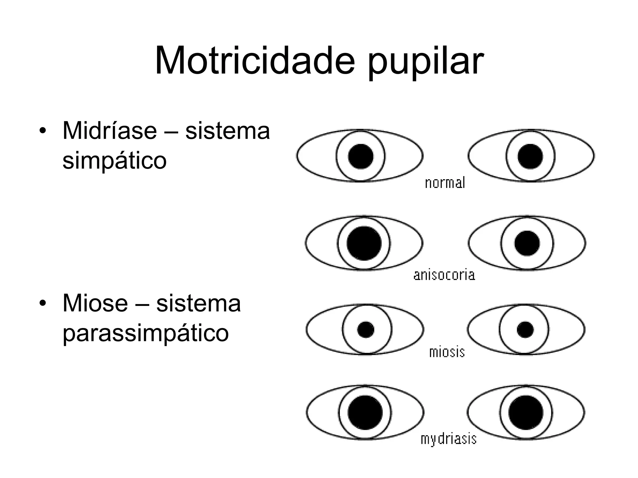 Alteração visual e sintomas correlatos | PPT