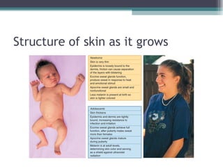 Alteration in skin integrity | PPT
