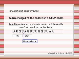Describe - Gene Alteration | PPT