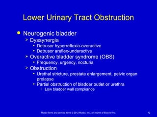 Alterations and renal | PPT | Medical Health