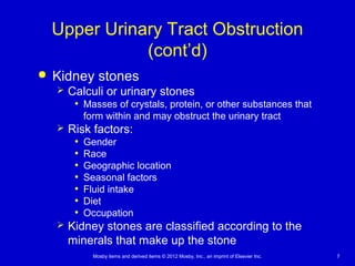 Alterations and renal | PPT | Medical Health