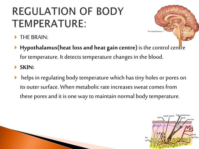 Alterations in body temperature | PPTX