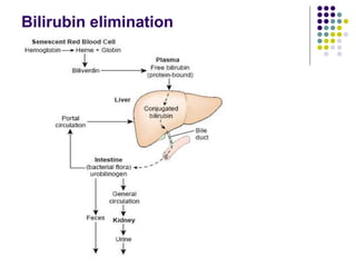 Alterations_in_hepatobiliary_function_1.ppt