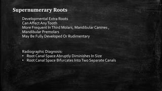 Alterations in tooth morphology | PPTX | Dental Health | Diseases and ...
