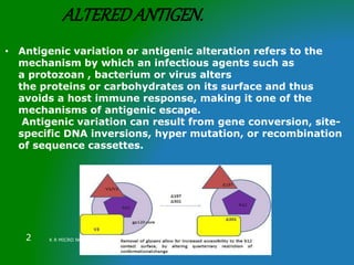 ALTERED ANTIGENS AND IMMUNODEFICIENCIES. | PPT