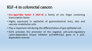 Altered expression of the klf4 in colorectal cancers | PPT