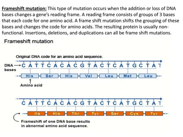 ALTERED GENE FUNCTION.pptx | Genetics | Science