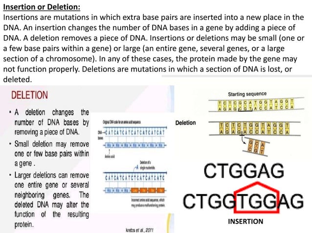 ALTERED GENE FUNCTION.pptx | Genetics | Science