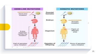 Altered gene abnormalities | PPTX | Infertility | Reproductive Health