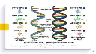 Altered gene abnormalities | PPTX | Infertility | Reproductive Health