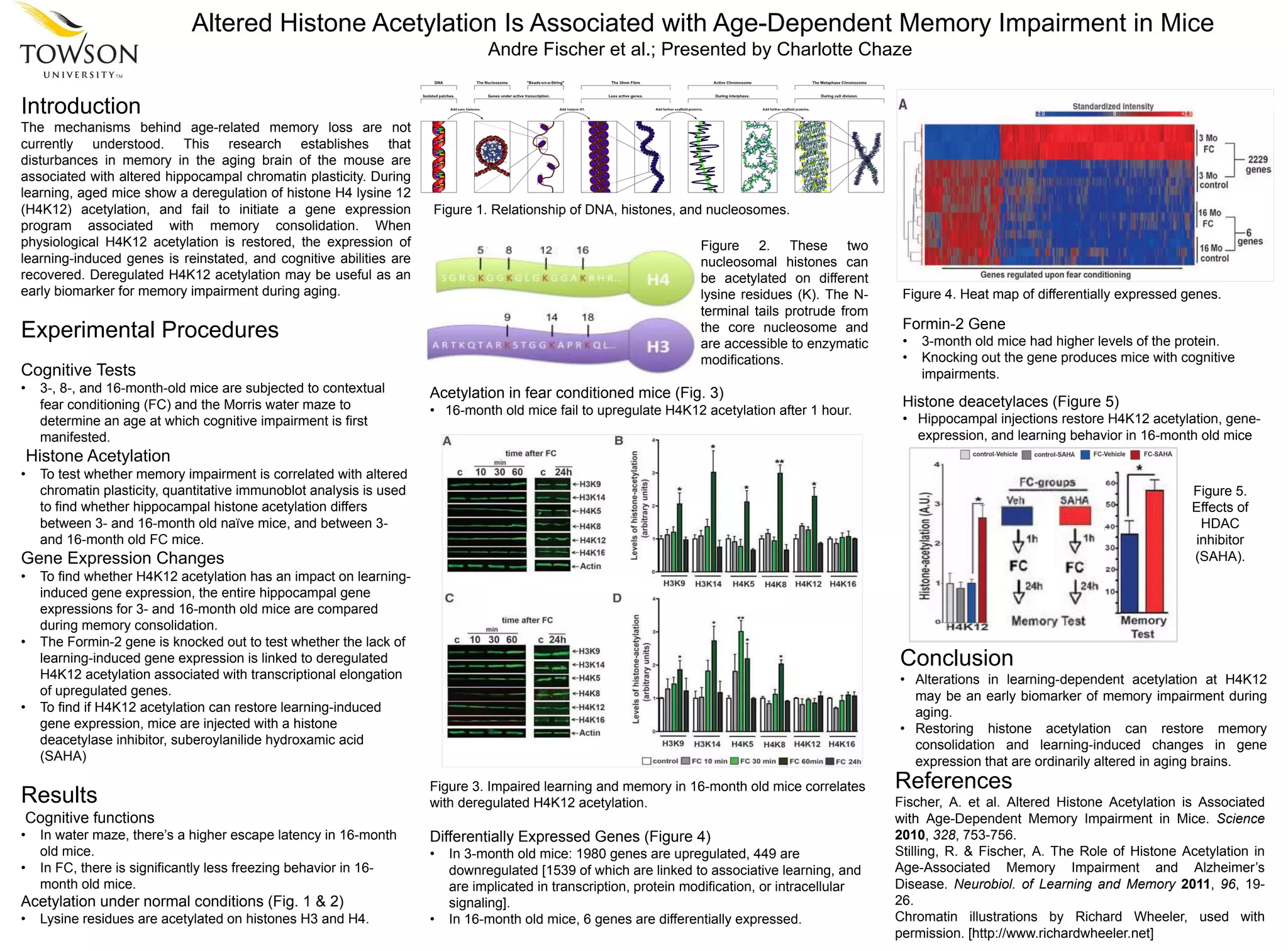 Altered histone acetylation is associated with age-dependent memory ...