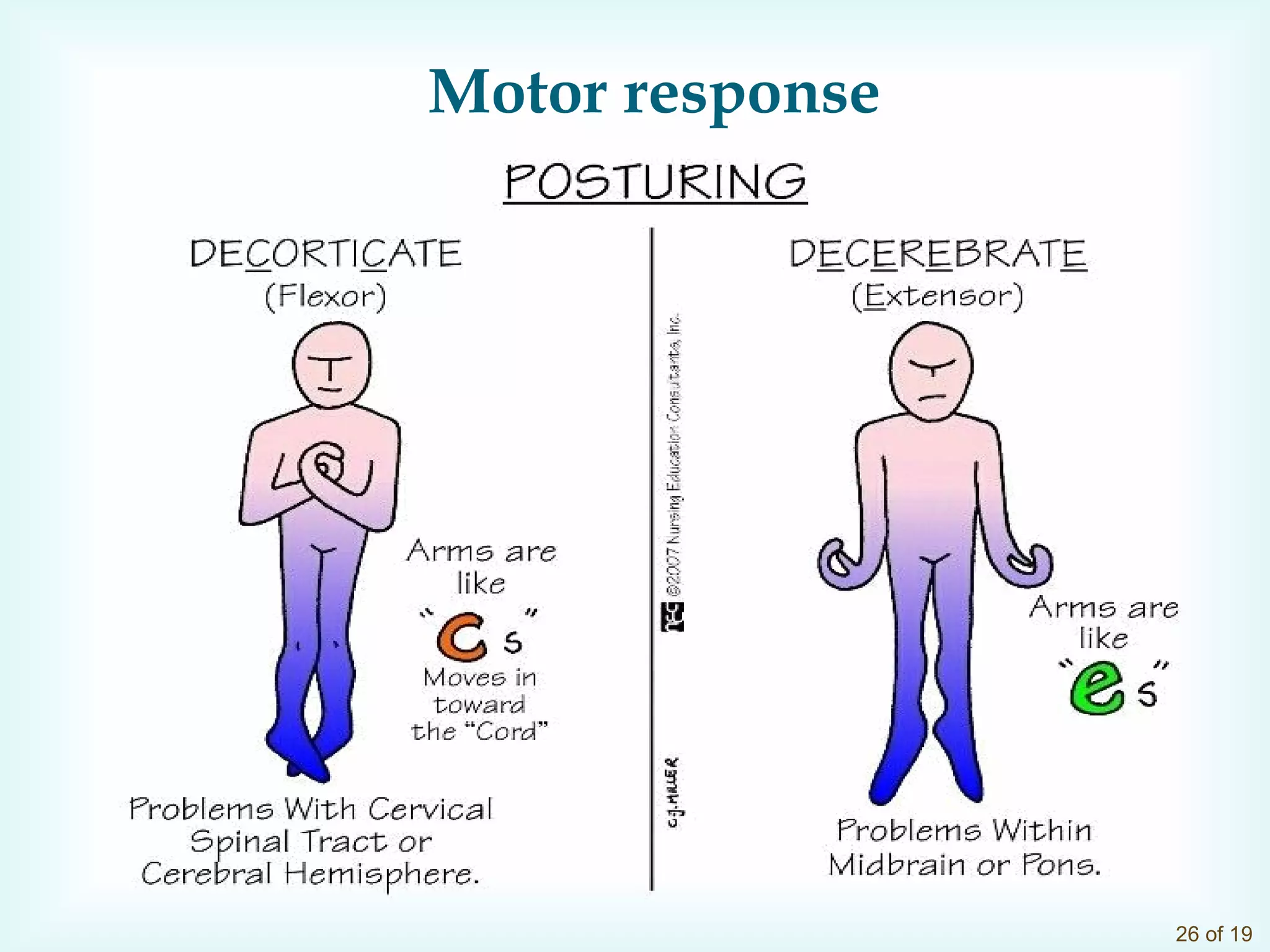 Altered Level of Consciousness | PPT
