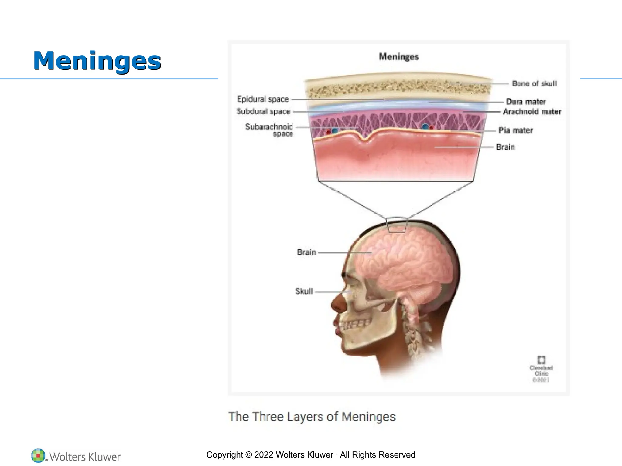 Altered LOC and Increased ICP.pptx nursing | PPTX