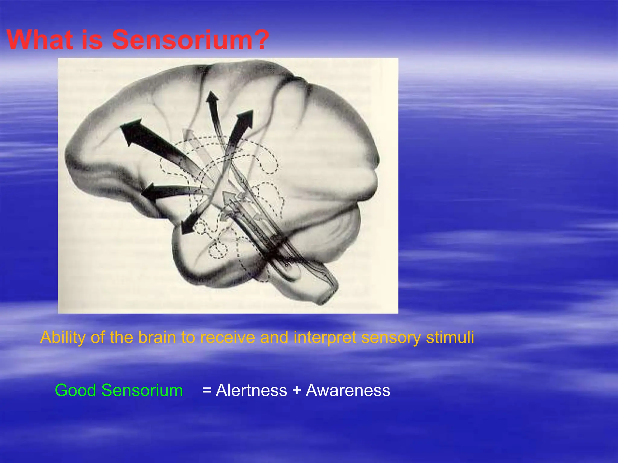 alteredsensoriumfinal-121001012445-phpapp02.pdf | Brain and Nervous System Disorders | Diseases ...