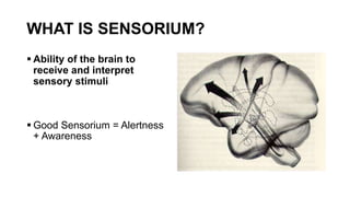 ALTERED SENSORIUM PPT.pptx