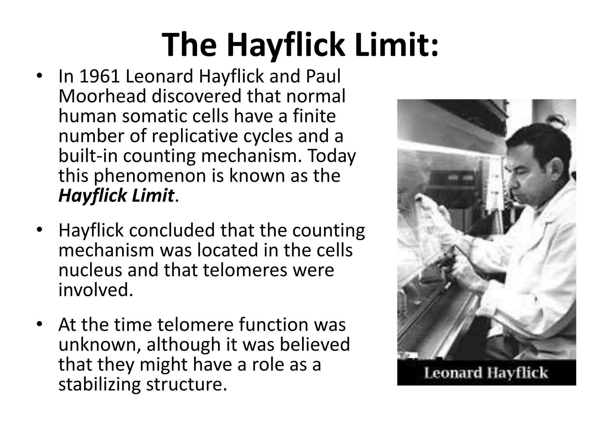 Altering The Genetic Clock With Telomeres and Telomerase - The Key To ...