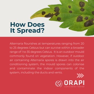 What is Alternaria and How Can You Prevent It? | PDF