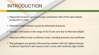 Alternaria Blight of mustard | PPTX