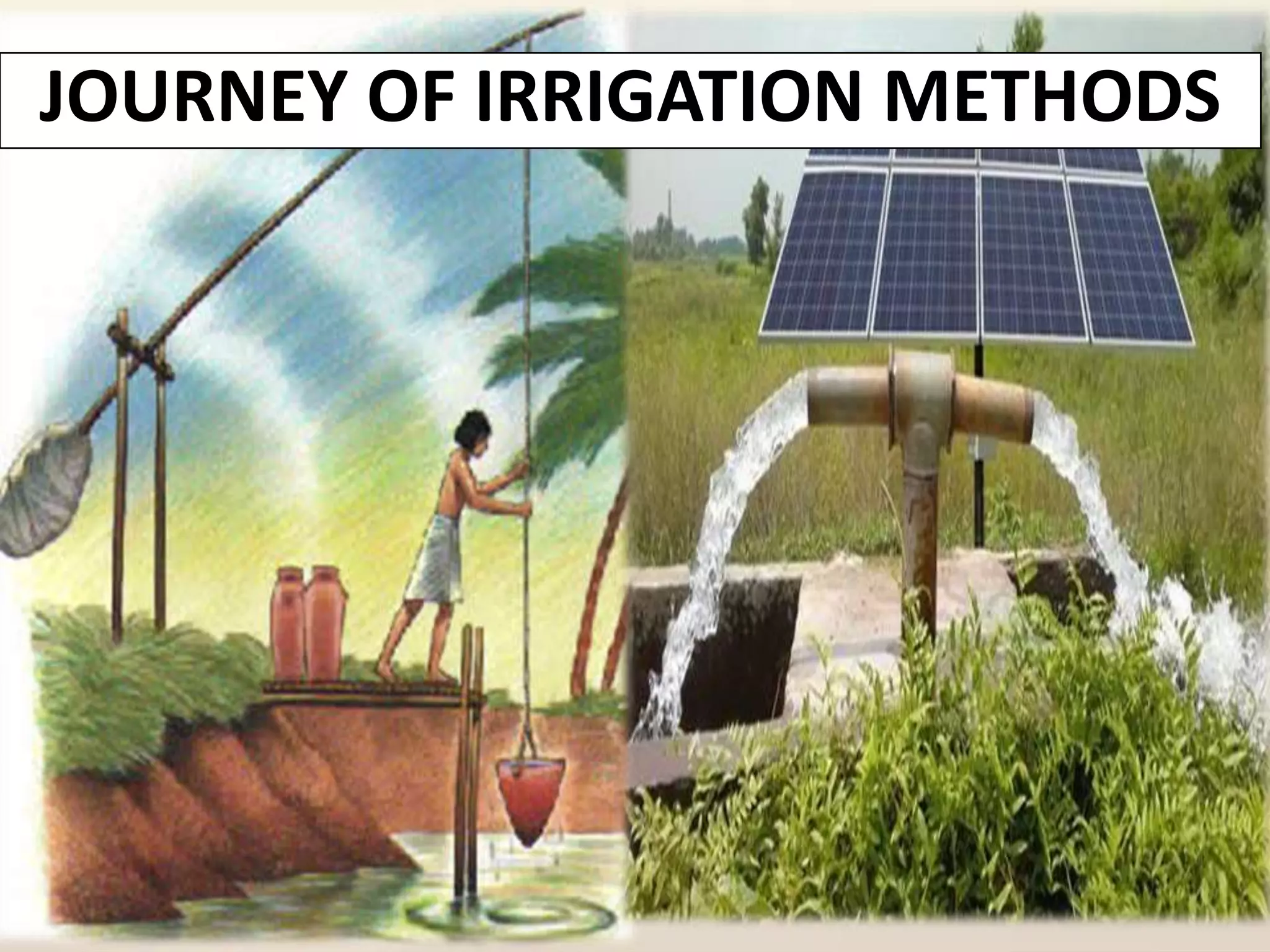 Irrigation methods | PPTX