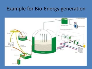 Alternate sources of energy | PPTX