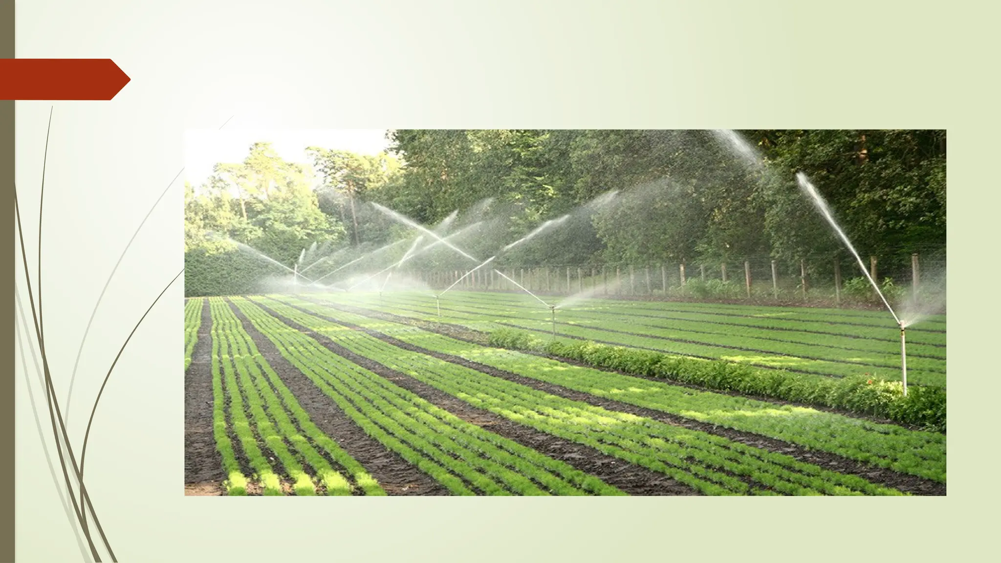 Alternate System, AI, Chat GPT.,Future of Agriculture | PPTX