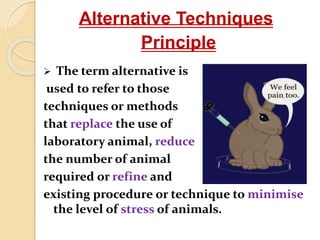 Alternate to Animal Model in Expiremental Pharmacology or Screening ...