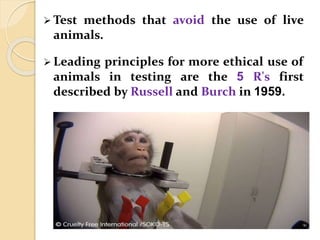 Alternate to Animal Model in Expiremental Pharmacology or Screening ...