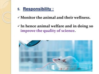 Alternate to Animal Model in Expiremental Pharmacology or Screening ...