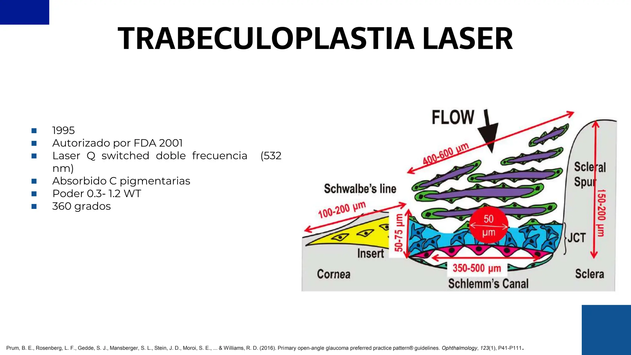 ALTERNATIVAS DE MANEJO EN EL GLAUCOMA PRIMARIO DE ANGULO ABIERTO .pptx