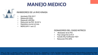 ALTERNATIVAS DE MANEJO EN EL GLAUCOMA PRIMARIO DE ANGULO ABIERTO .pptx