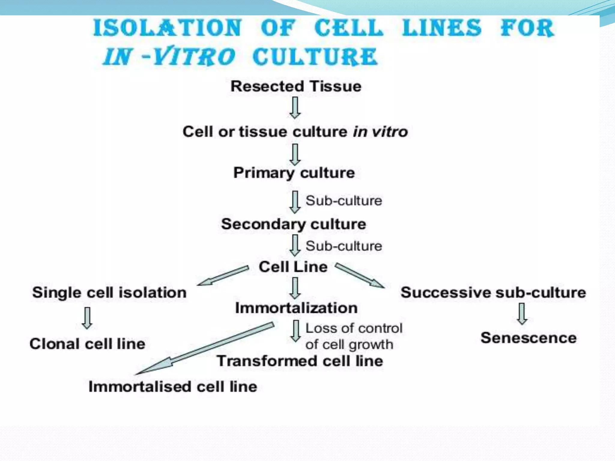Alternative animal experimentation technique | PPTX