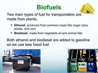 Alternative Energy PowerPoint | PPTX