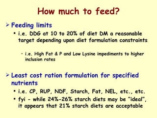 Alternative Feedstuffs for Corn and Soybean Meal- Randy Shaver | PPT