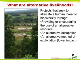 Alternative livelihoods and conservation: A systematic review | PPT