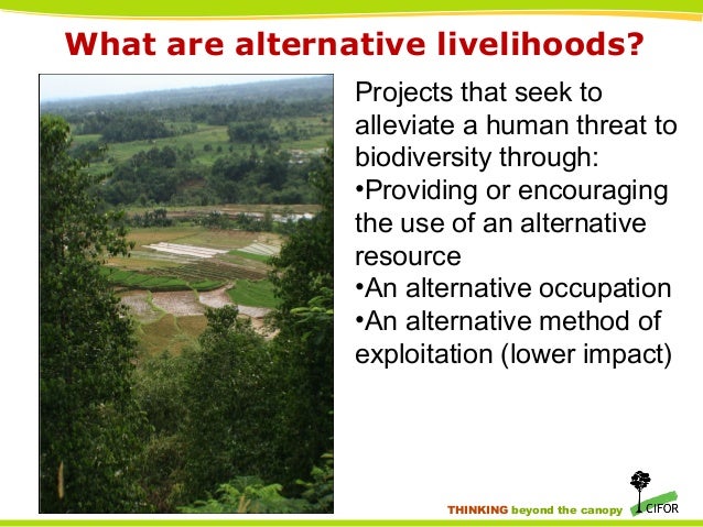 Alternative livelihoods and conservation: A systematic review
