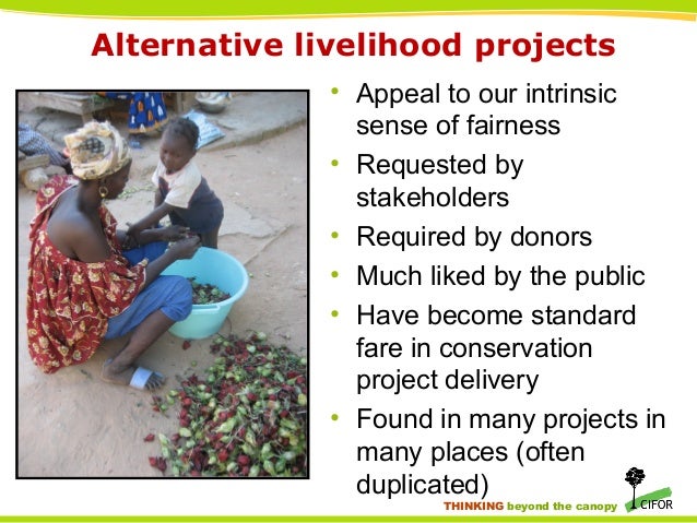 Alternative livelihoods and conservation: A systematic review