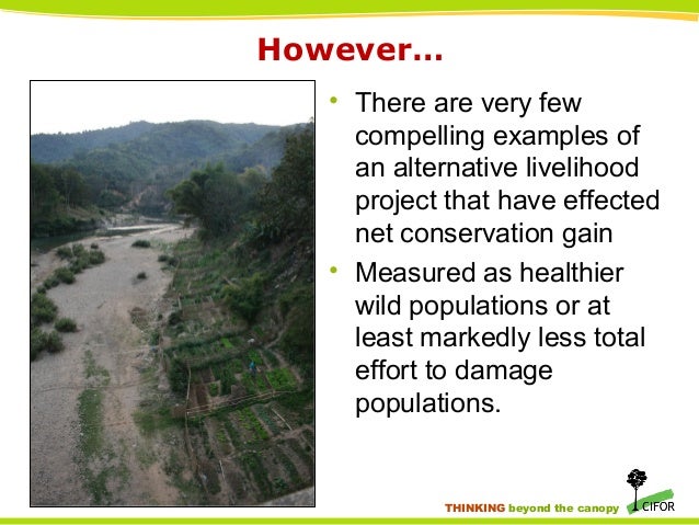 Alternative livelihoods and conservation: A systematic review