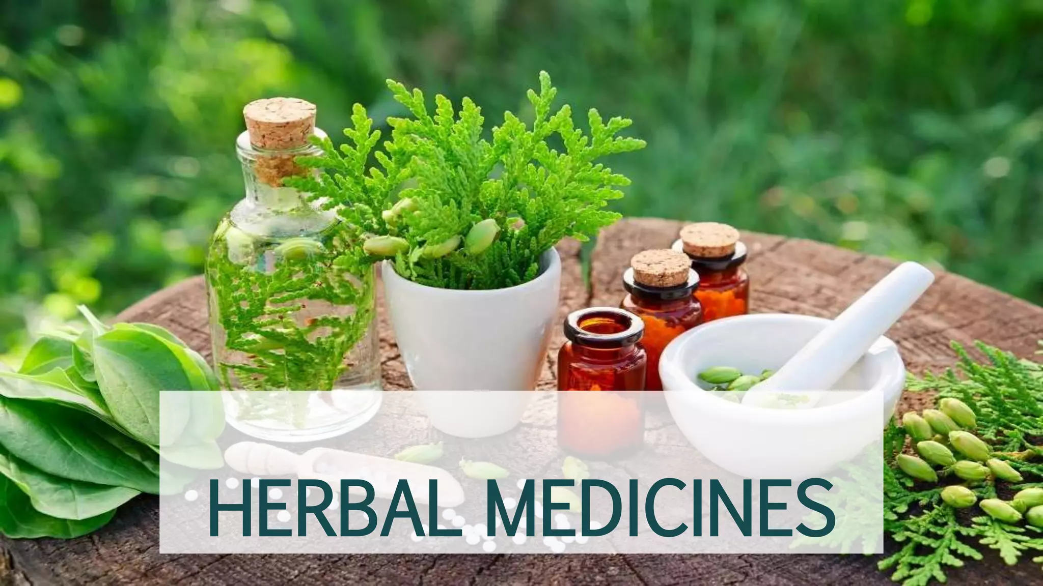 Alternative medicines | PPTX