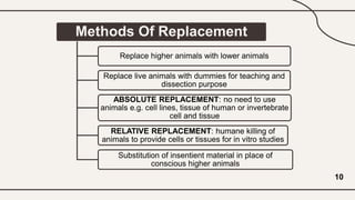 alternative methods of animal toxicity.pptx