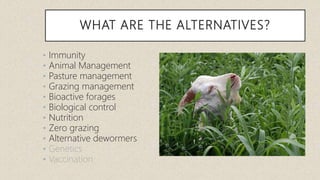 Alternative Parasite Control | PPTX