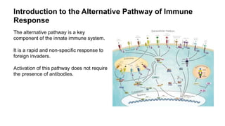 Alternative Pathway Of Immune Responsese | PPT