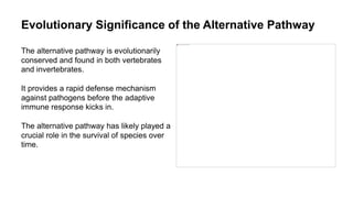 Alternative Pathway Of Immune Responsese | PPT