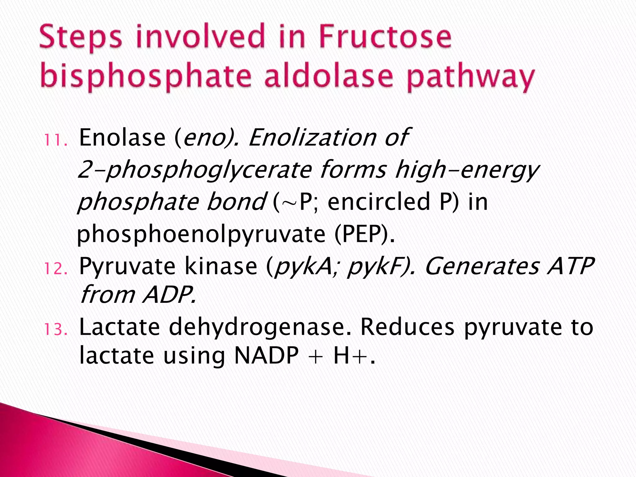 Alternative pathways. | PPTX