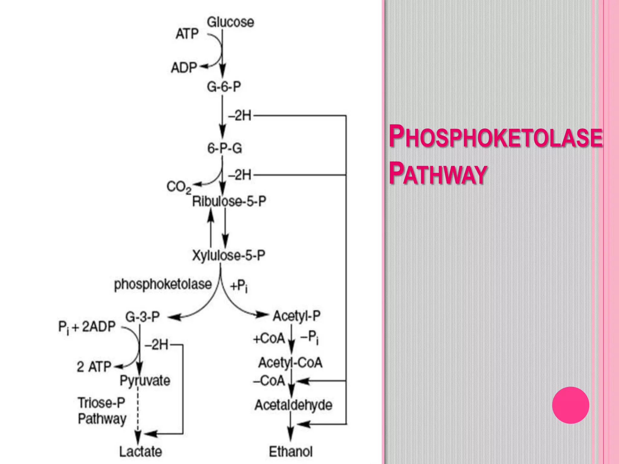 Alternative pathways. | PPTX