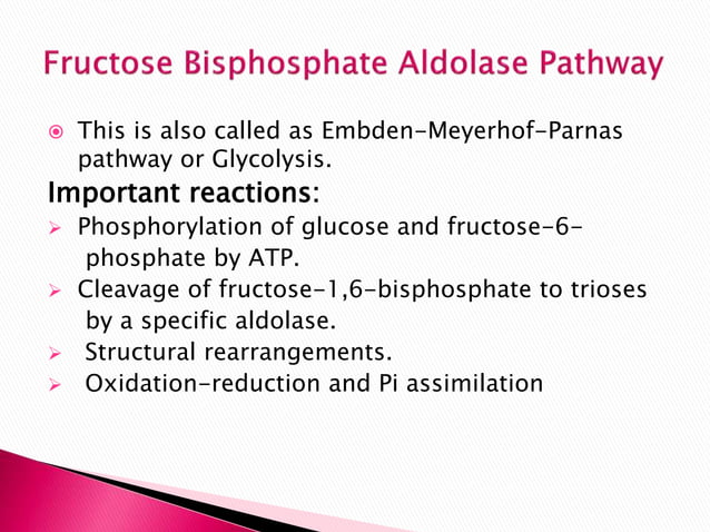 Alternative pathways. | PPTX