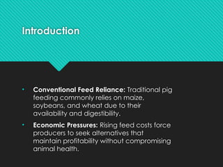Alternative Pig Feeds (non conventional feed).pptx