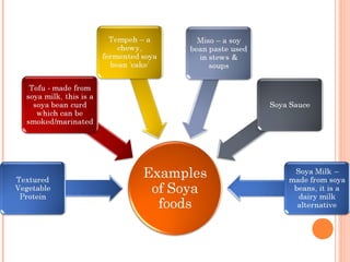 Alternative protein foods 1 | PPT